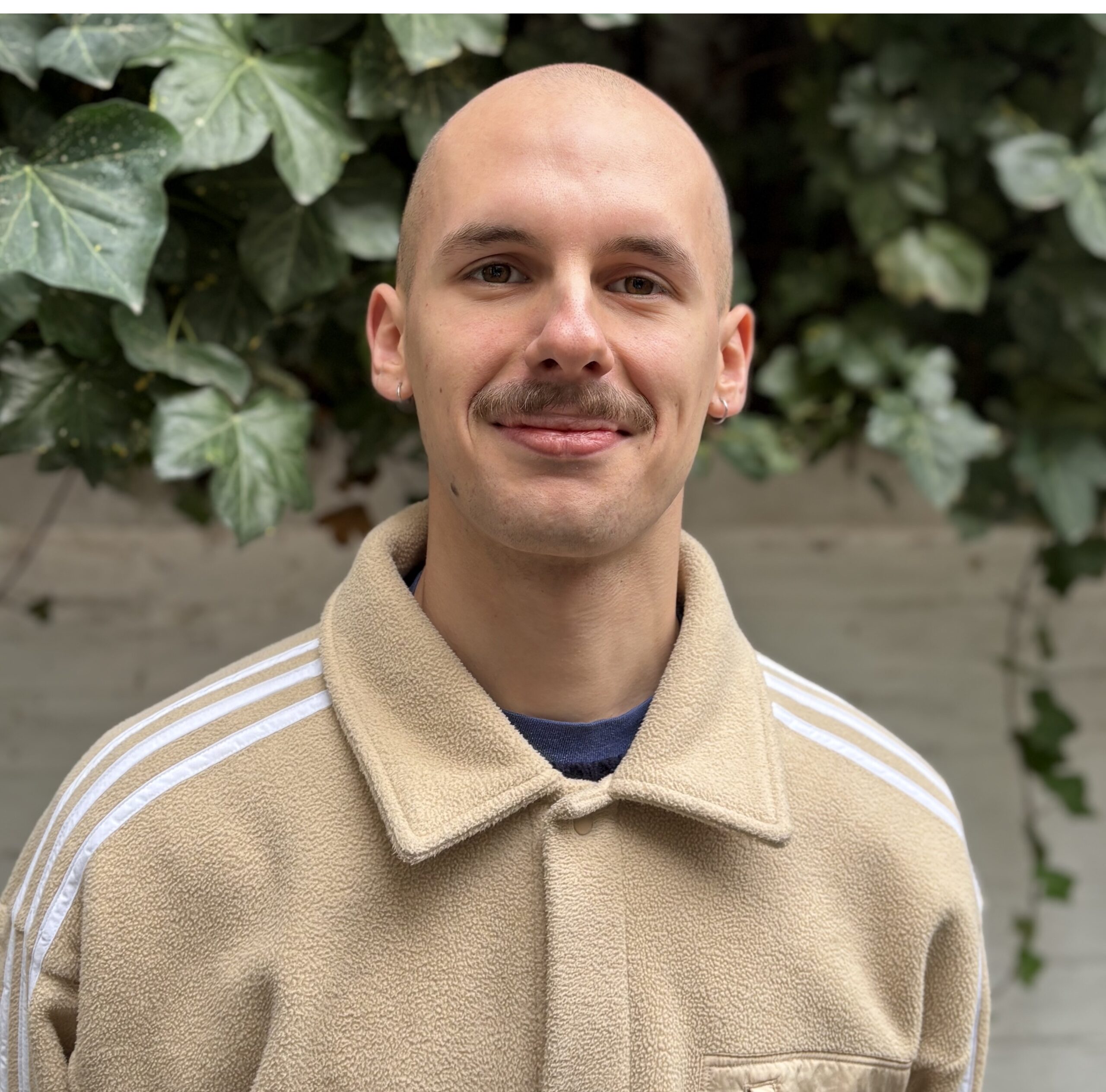 Solal Babin - Acoustique & Conseil